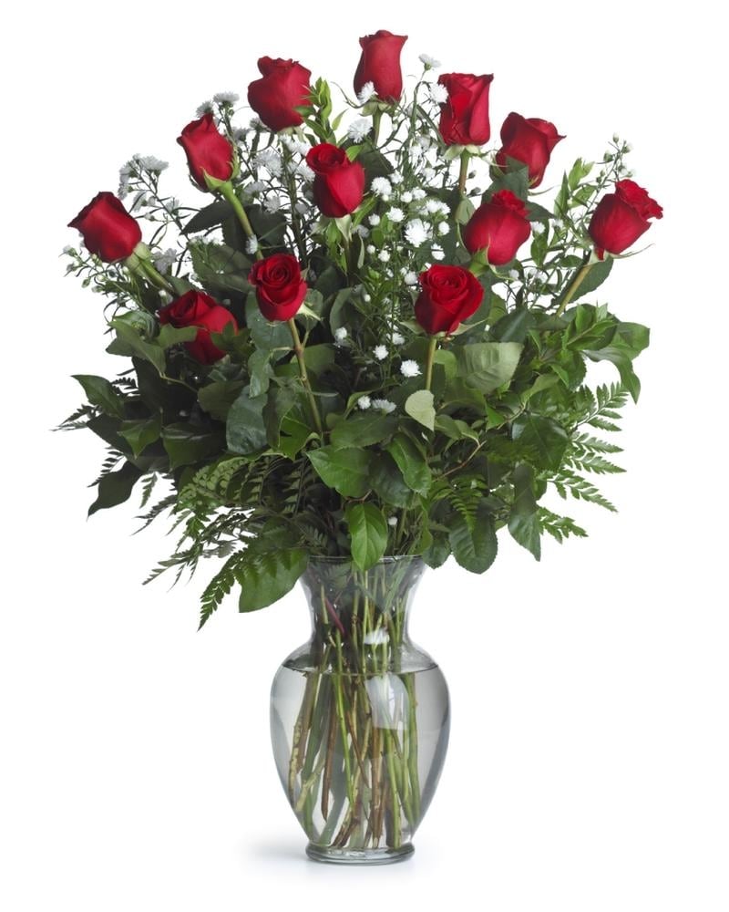 St. Petersburg's Best Dozen Long Stem Red Roses in Pinellas Park FL ...