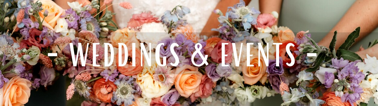 Florist in Ft. Collins, CO | Palmer Flowers