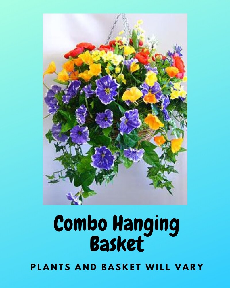 Combo Hanging Baskets