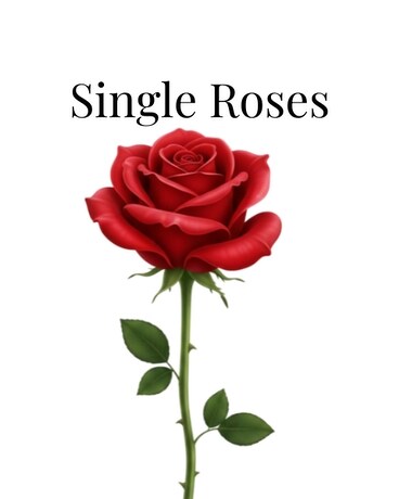 Single Rose - Wrapped in Danville VA - Motley Florist