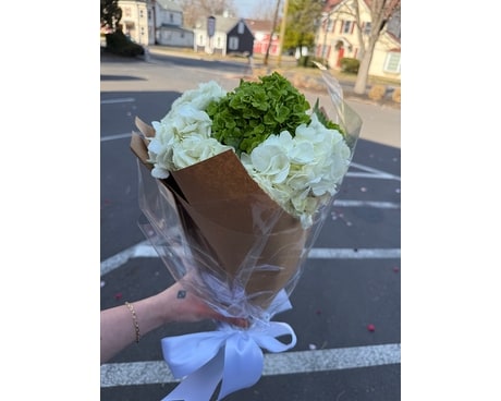 Ice Cream Cone Mix Hydrangeas Bouquet in Yardley PA - Ye Olde Yardley ...