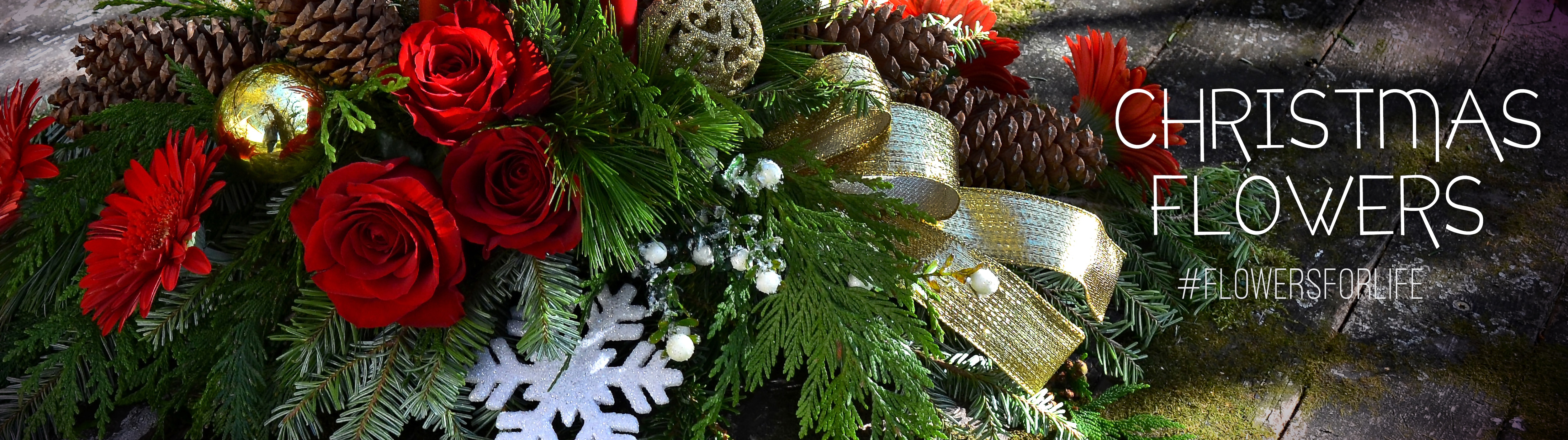 Flowers Westfield Indiana | Best Flower Site