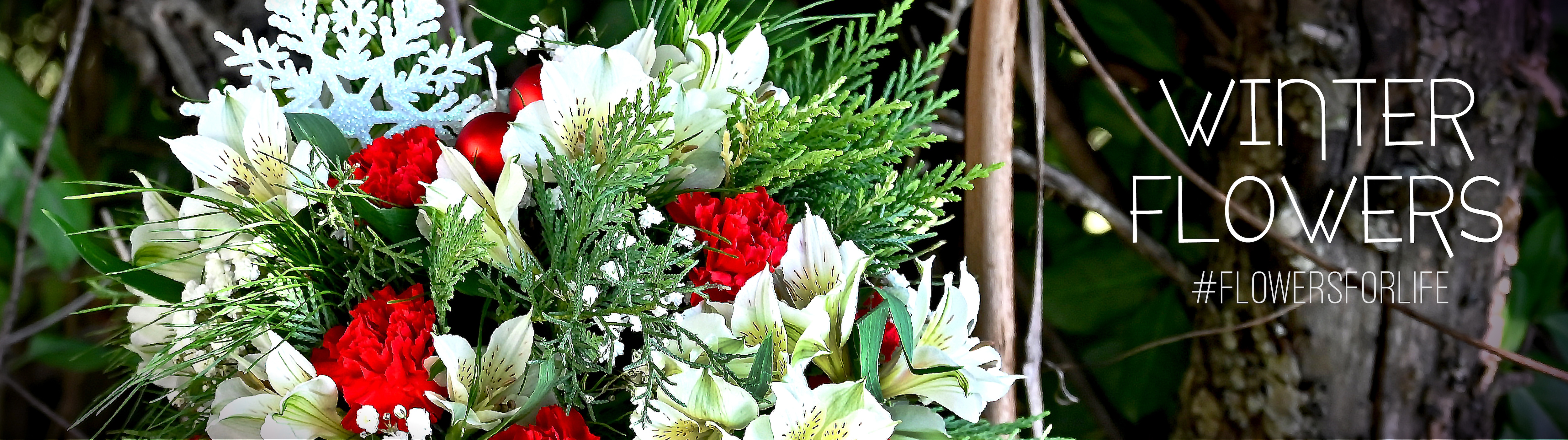 Flowers Westfield Indiana | Best Flower Site