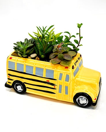 Plants Delivery Indianapolis IN - Gillespie Florists & Flower Delivery