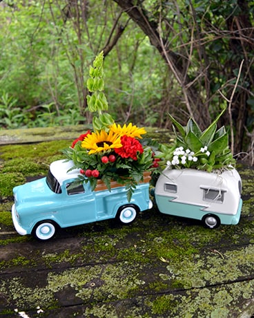 Plants Delivery Indianapolis IN - Gillespie Florists & Flower Delivery