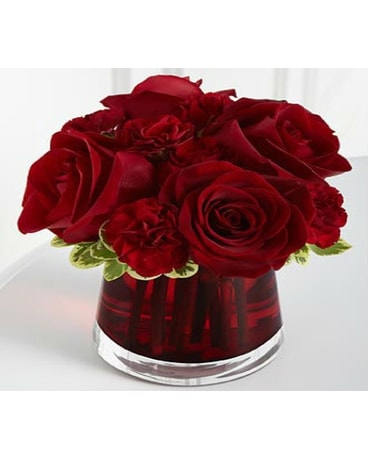 Pixie Carnation Flower | Best Flower Site
