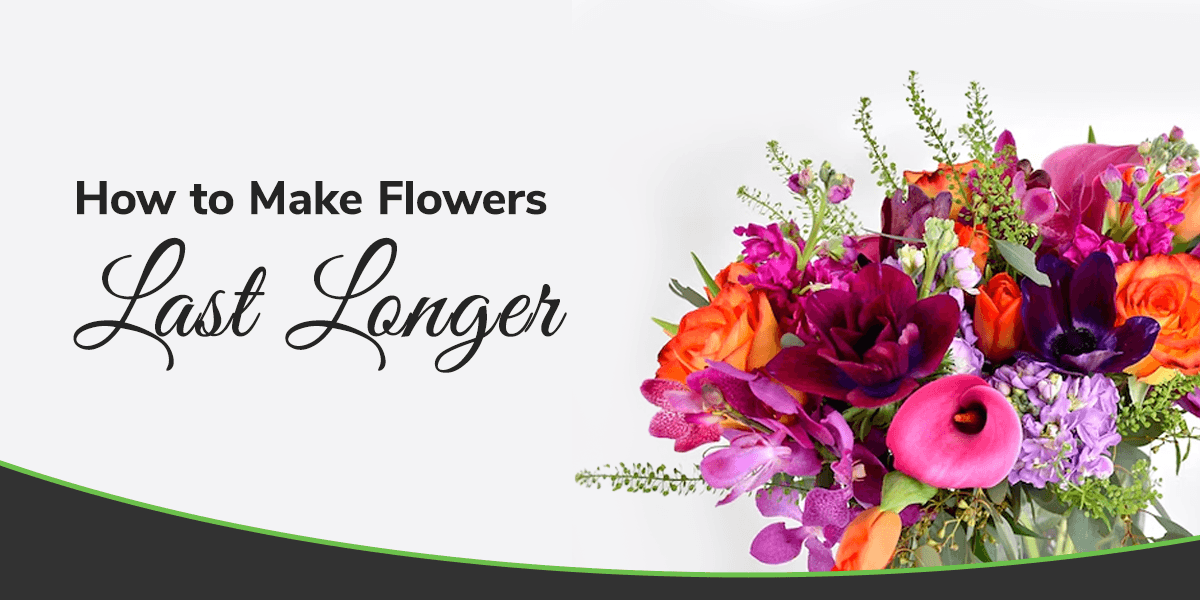 How to Make Flowers Last Longer