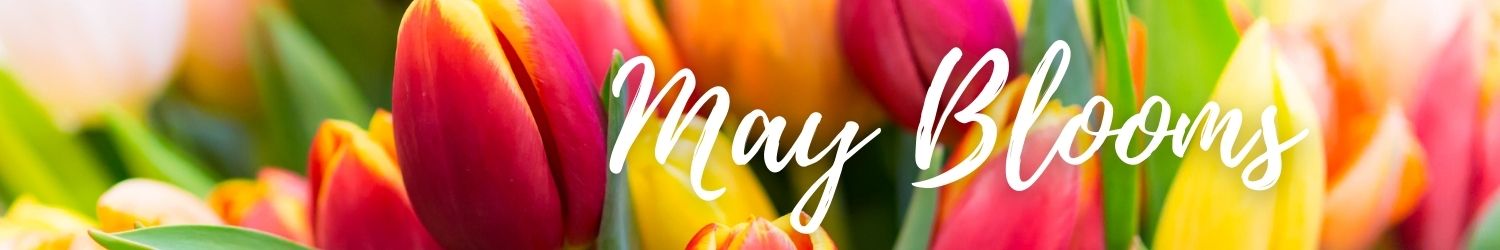 NYC Flowers - May - Starbright Floral Design