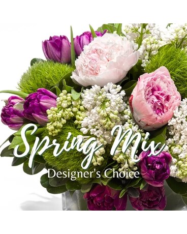 Shop Designer's Choice Flower Arrangements - Starbright NYC
