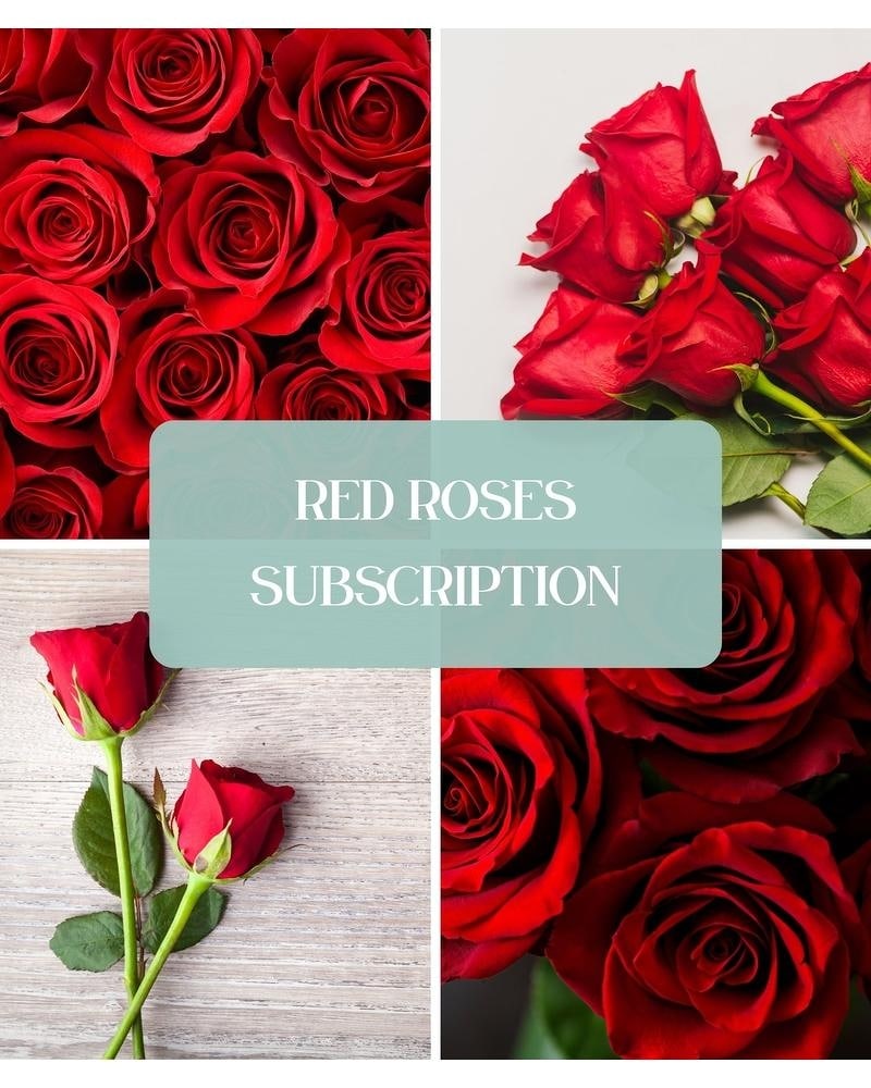 Red Roses Subscription in Greenwood IN - The Flower Market