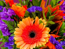 Springfield Florist - Flower Delivery by The Flower Merchant