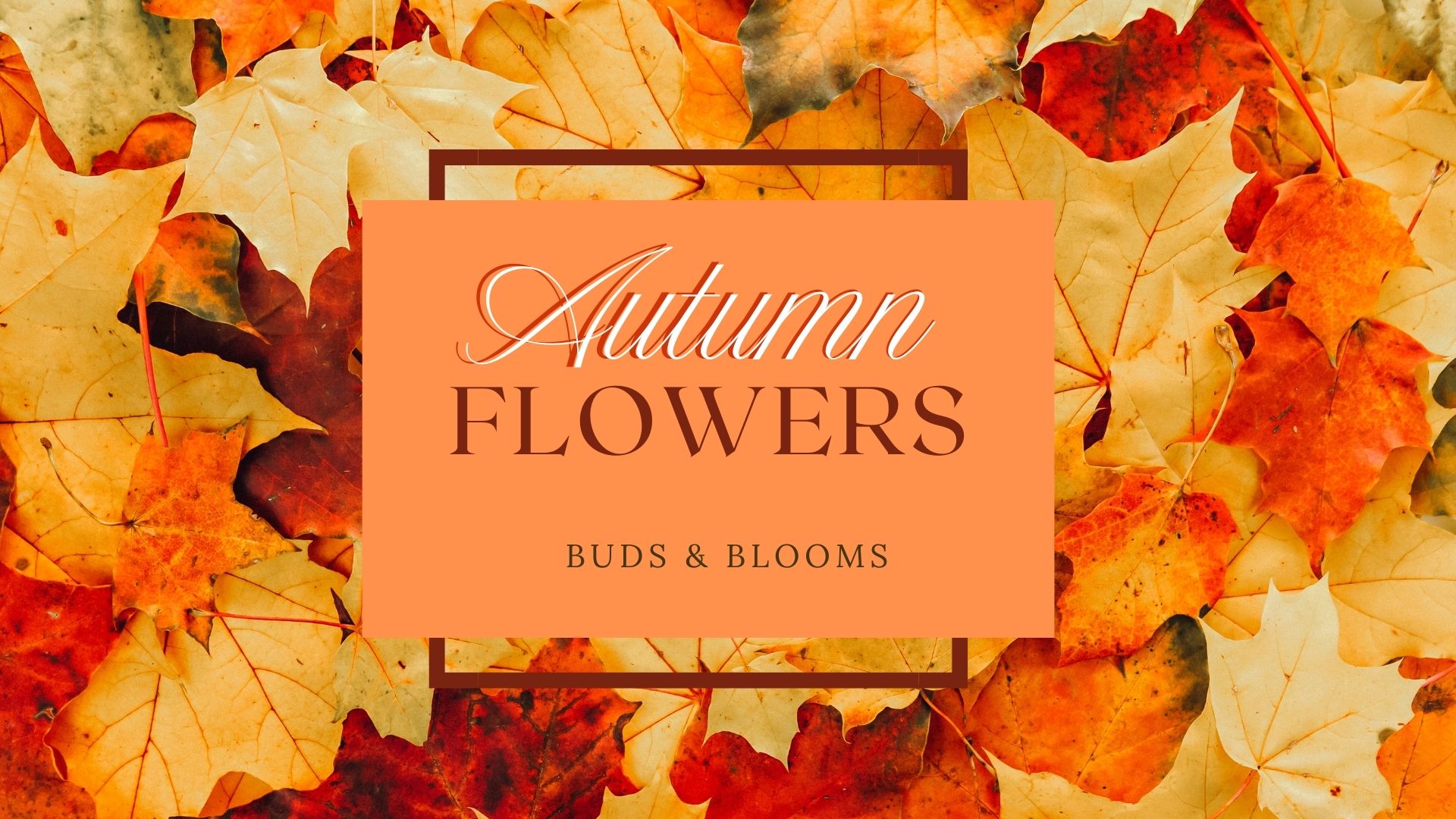 Auburn Florist - Flower Delivery by Buds & Blooms