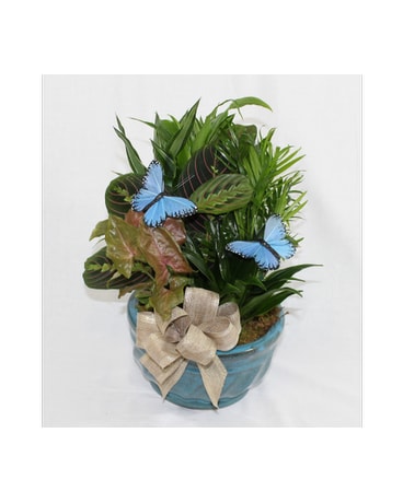 Houston Florist - Same Day Flower Delivery by Ace Flowers