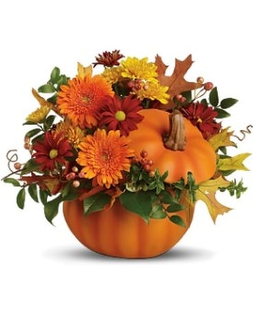 Teleflora's Somethin' Pumpkin in Grass Lake MI - Designs By Judy