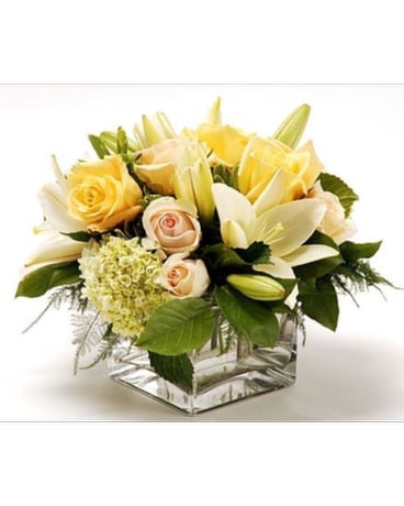 NETANYA in Needham MA - Needham Florist