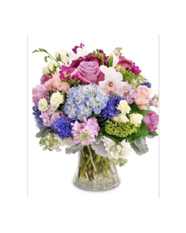 Cape Cod Kiss in Needham MA - Needham Florist