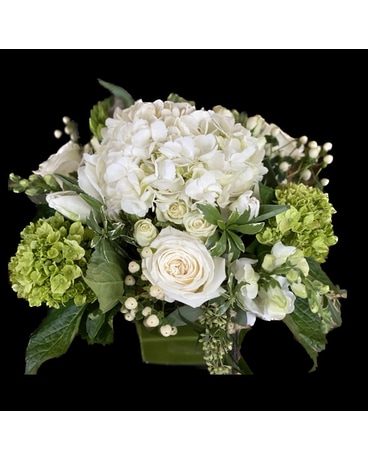 Simply Pure in Needham MA - Needham Florist