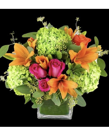 Spring Sorbet in Needham MA - Needham Florist