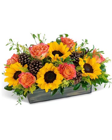Sunset at the Farmhouse in Needham MA - Needham Florist