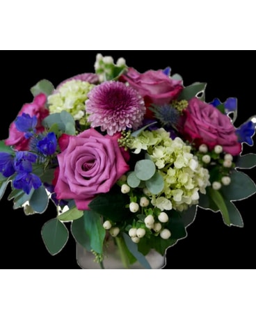Blueberry Blossoms in Needham MA - Needham Florist