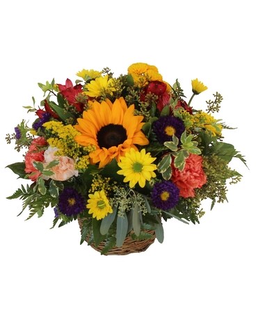 Original Watson Designs Delivery Tempe AZ - Watson's Florist & Flower ...