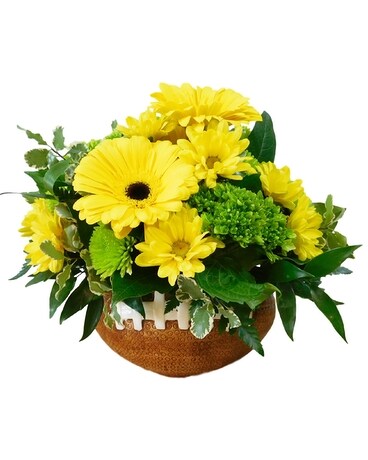 Monthly Specials Delivery Tempe AZ - Watson's Florist & Flower Delivery