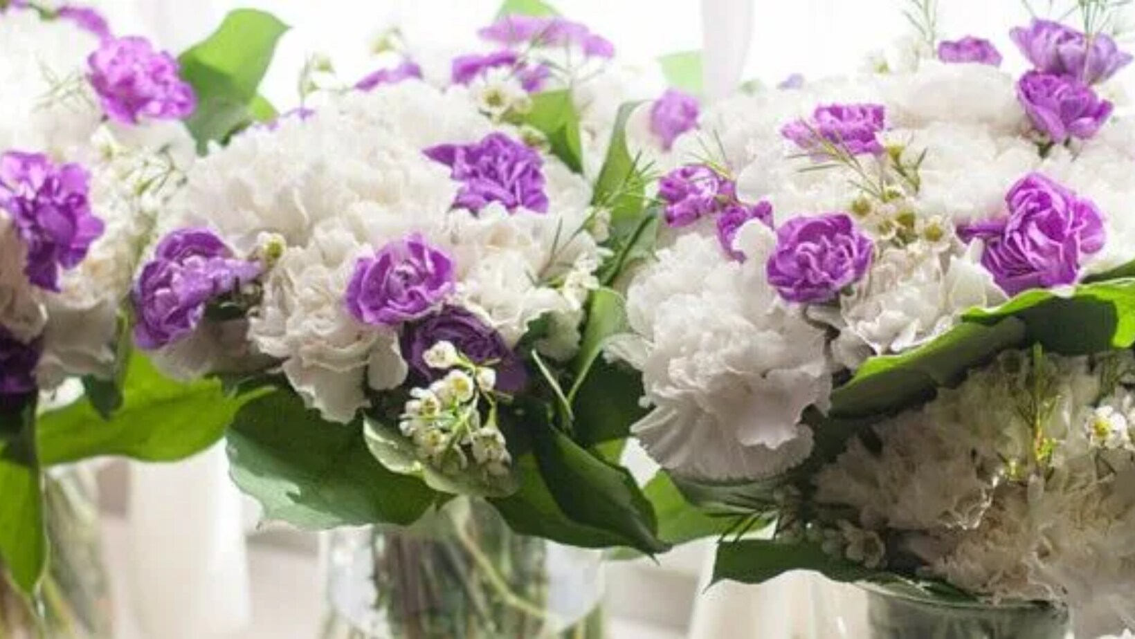 Virginia Beach Flower Shop | Fairfield Flowers Florist