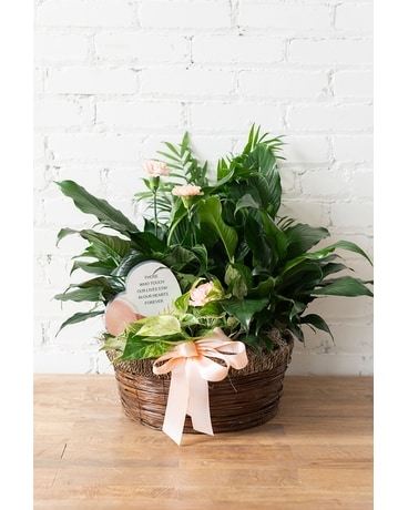 Sympathy Plants Delivery Piqua OH - Genell's Flowers