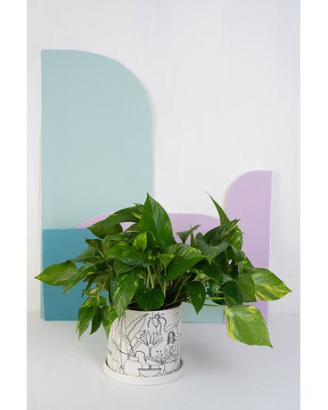 Piqua Florist - Flower Delivery by Genell's Flowers