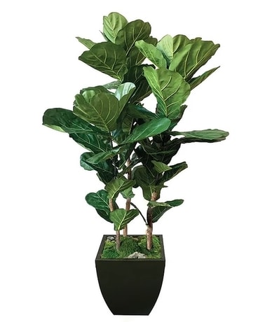 LUXURY SILK COLLECTION Delivery Woodbury NY - Florique