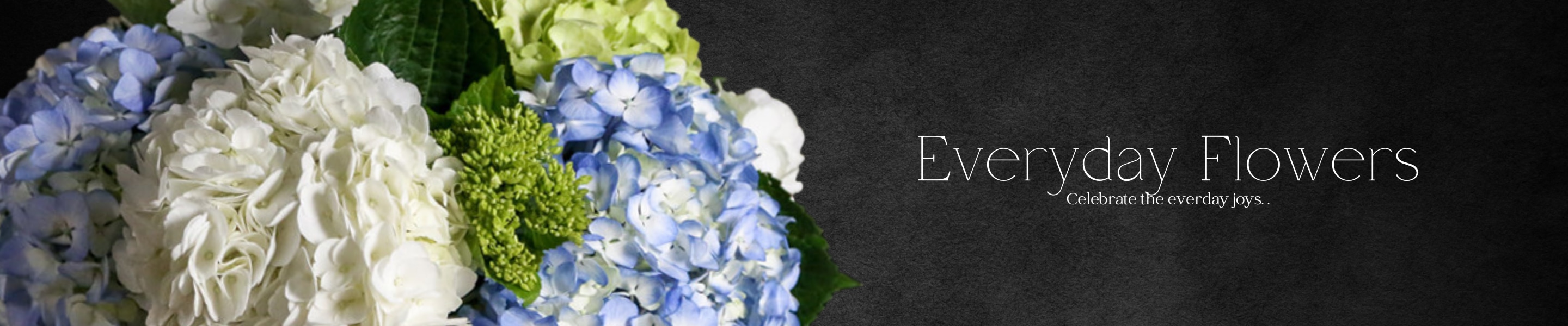 Everyday Flowers Delivery Rochester NY - Fioravanti Florist