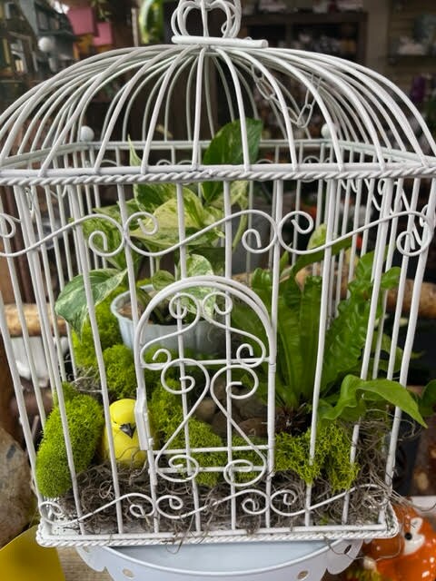 Portland Florist - Flower Delivery by Portland Florist Shop