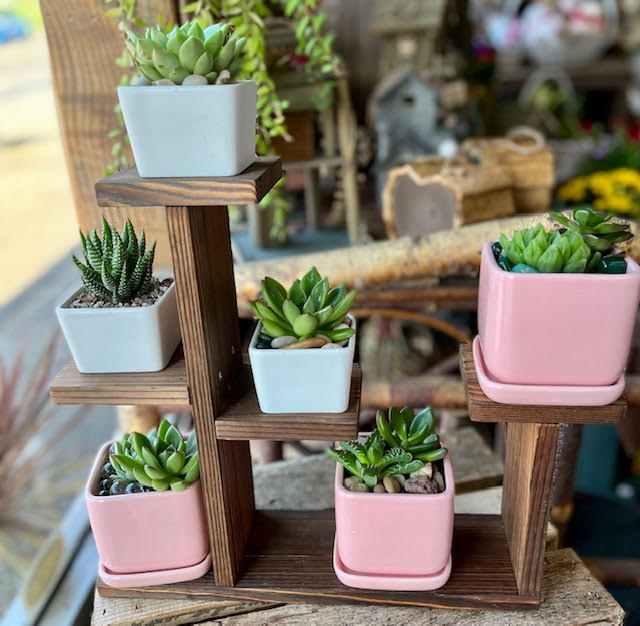 Portland Florist - Flower Delivery by Portland Florist Shop