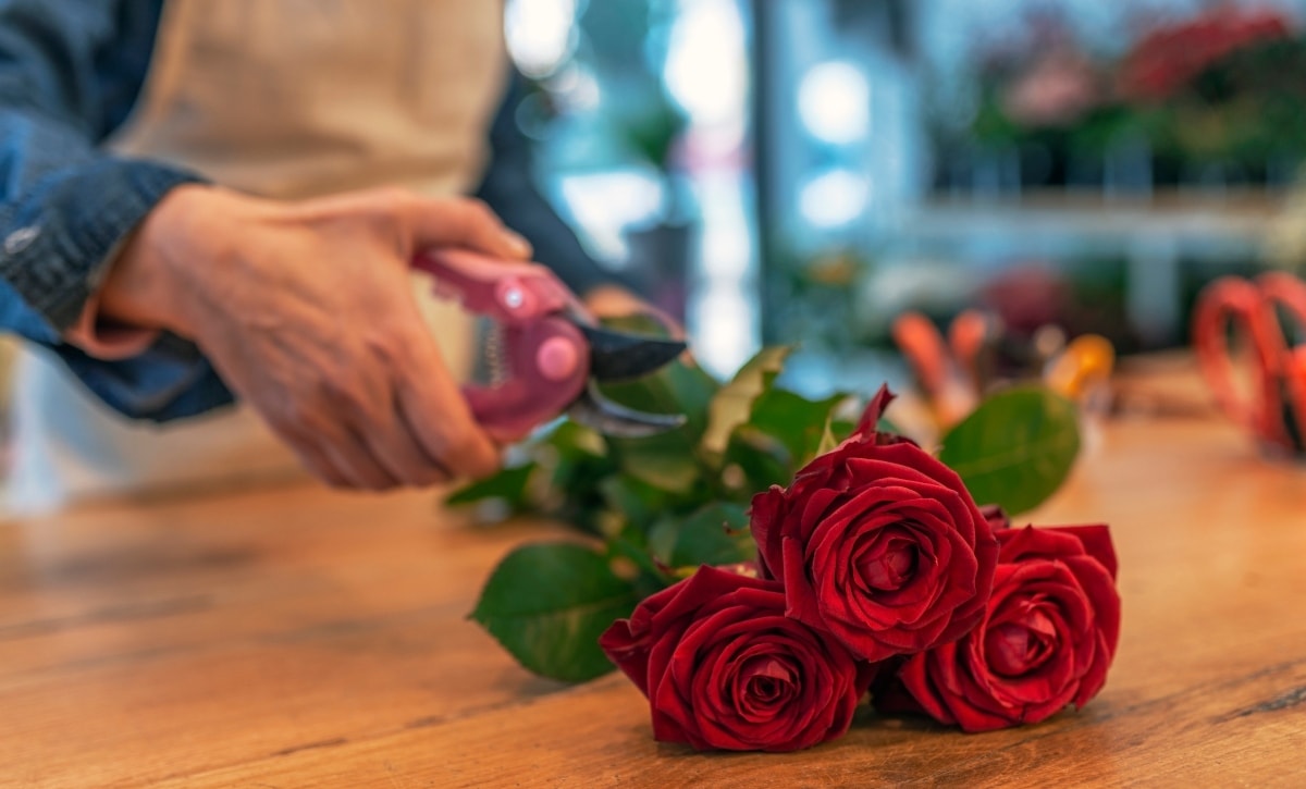 How Long Do Flowers Last?
