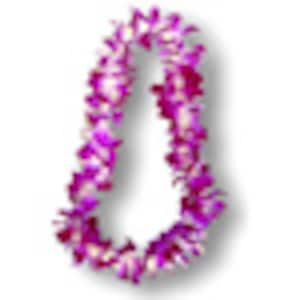 Beautiful in Blue (T209-3A) in Dallas TX - Petals & Stems Florist