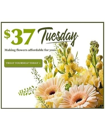 Dallas Florist - Flower Delivery by Petals & Stems Florist