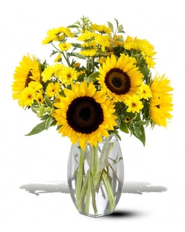 West Hazleton Florist - Flower Delivery by Smith Floral Co.