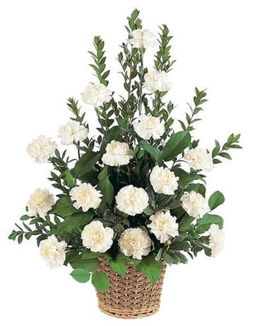White Carnation Sympathy Basket - Fallon's Flowers