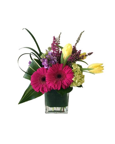 Lincoln Florist - Flower Delivery by Abloom