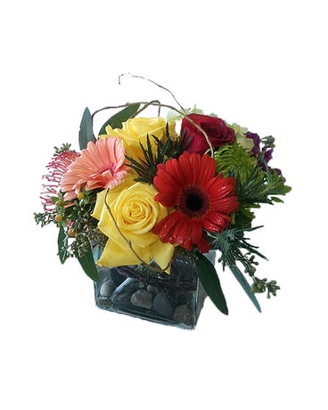 Lincoln Florist - Flower Delivery by Abloom