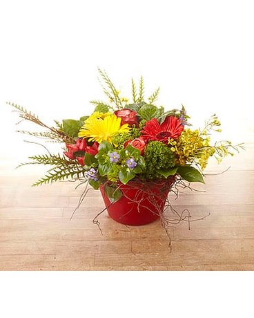 Denver Florist - Flower Delivery by Happy Canyon Flowers