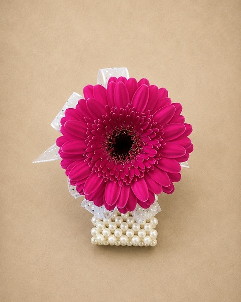 Hot Pink Daisy Flower