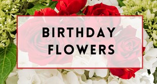 Florist Springfield: Buy Flowers At Schneider's Florist The Florist You ...