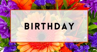 Flower Delivery Springfield OH Florist - Flowers Near Me -Springfield