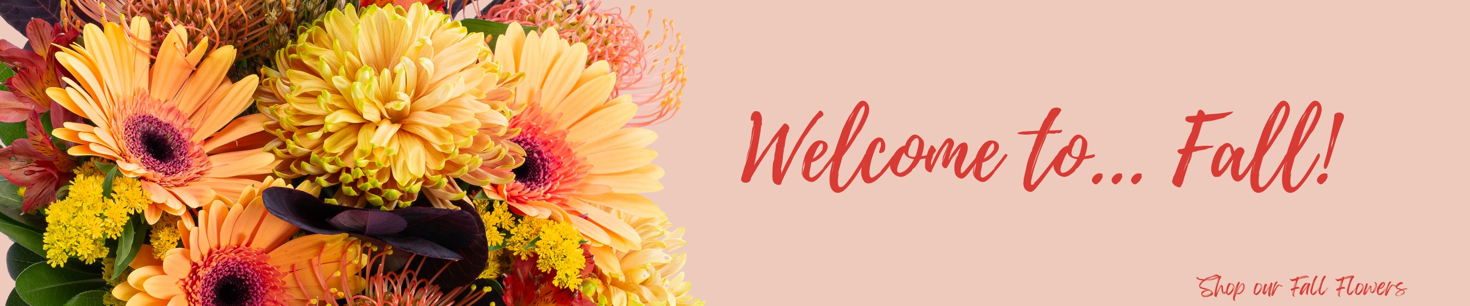 Flower Delivery Springfield OH Florist - Flowers Near Me -Springfield