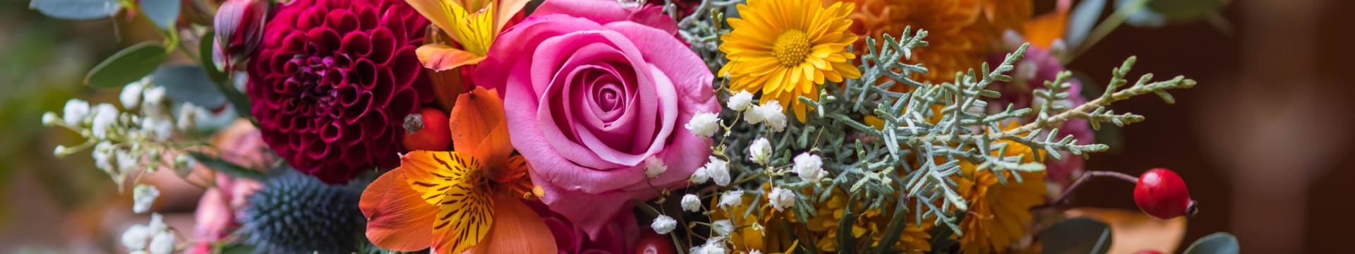 Florist Springfield OH Near Me - Flower Delivery Springfield Ohio