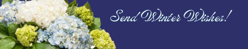 Flower Delivery Springfield OH Florist - Flowers Near Me -Springfield