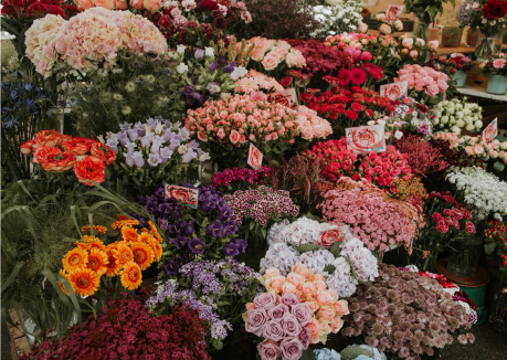 Florist Springfield OH Near Me - Flower Delivery Springfield Ohio