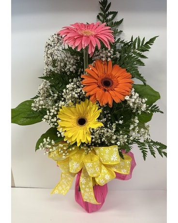 3 Gerbera Arrangement in Chatham ON - Stan's Flowers