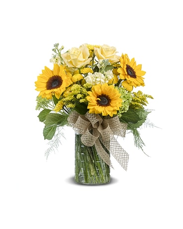Gainesville Florist - Flower Delivery by Floral Expressions Florist